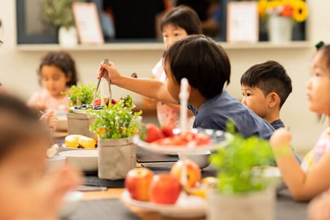 Sunkids Robina - Premium Gold Coast Childcare Provider